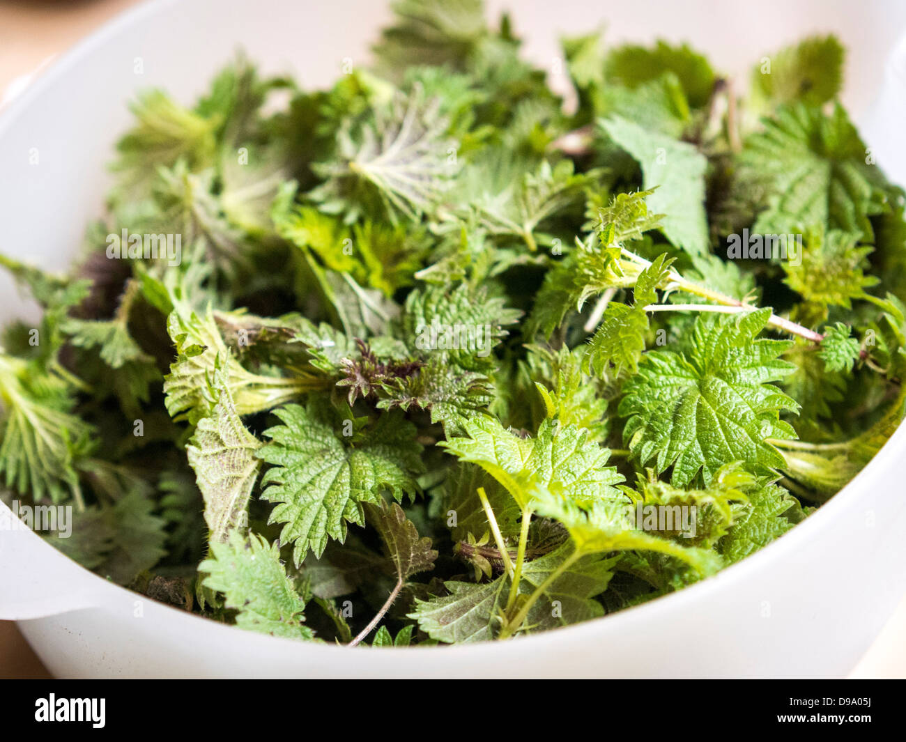 Nettle tops hi-res stock photography and images - Alamy