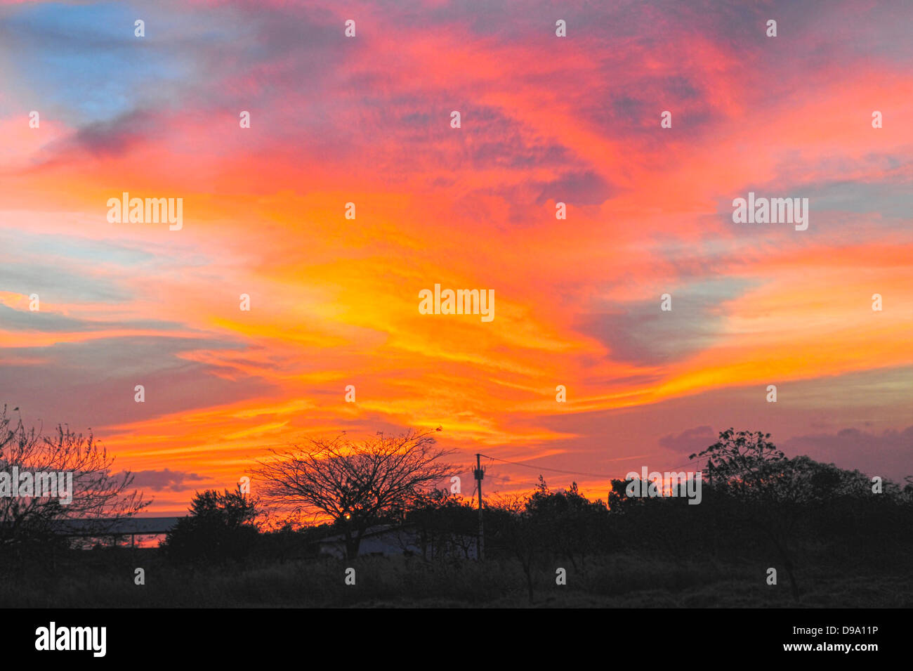 Vivid bright colors hi-res stock photography and images - Alamy