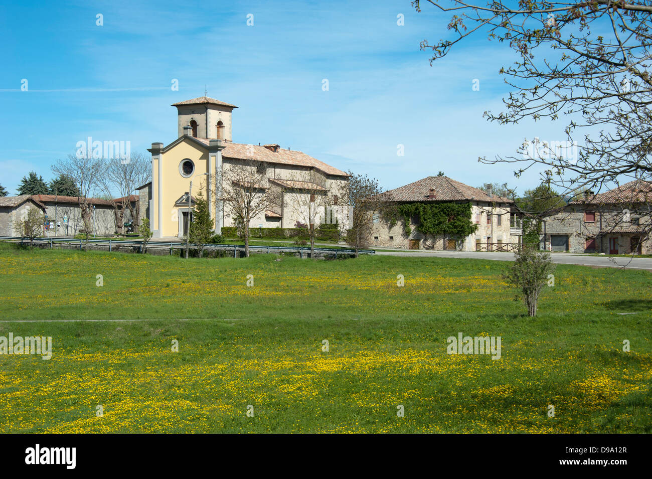 Verica hi-res stock photography and images - Alamy