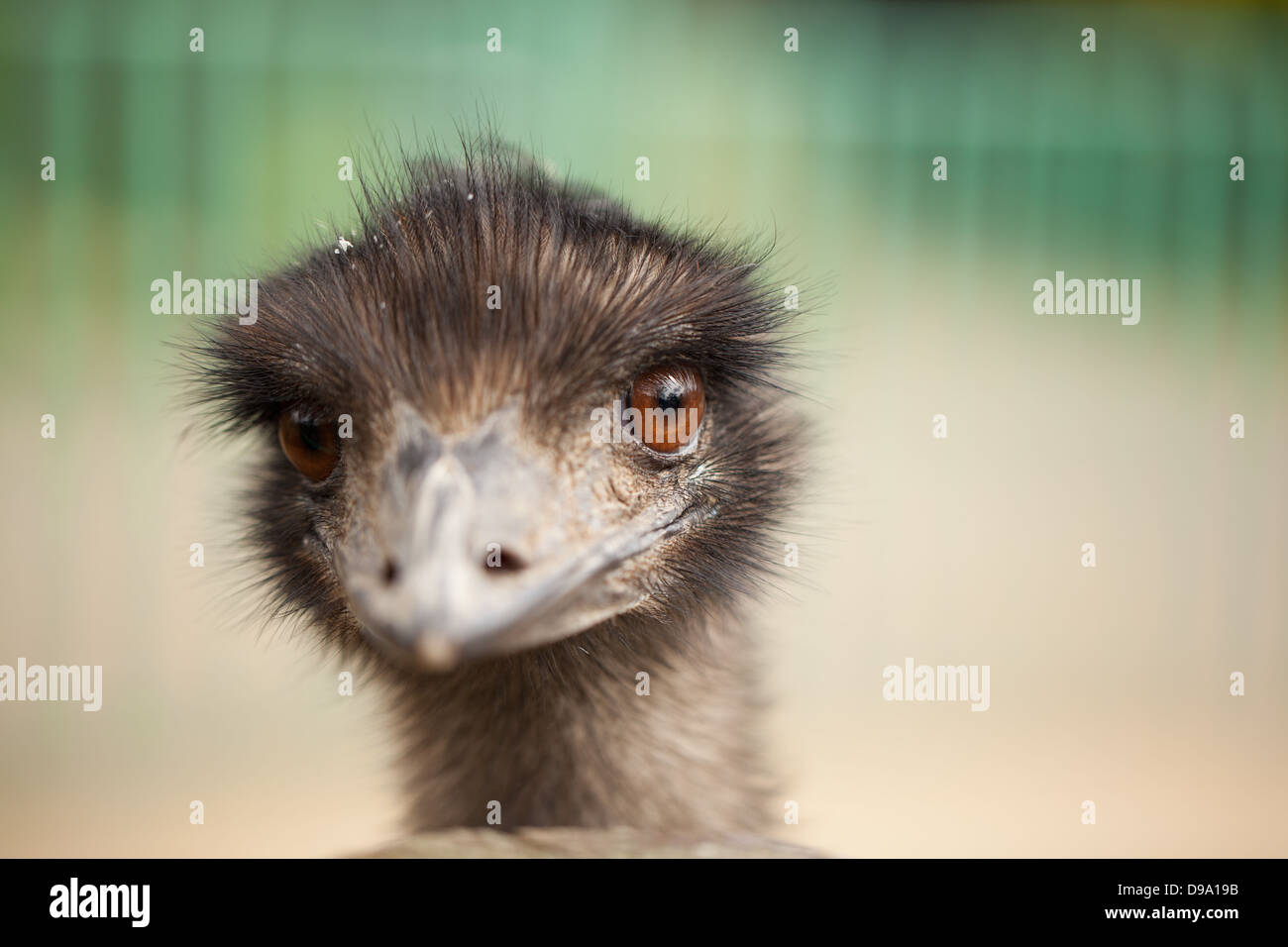 Smile close up eye hi-res stock photography and images - Alamy