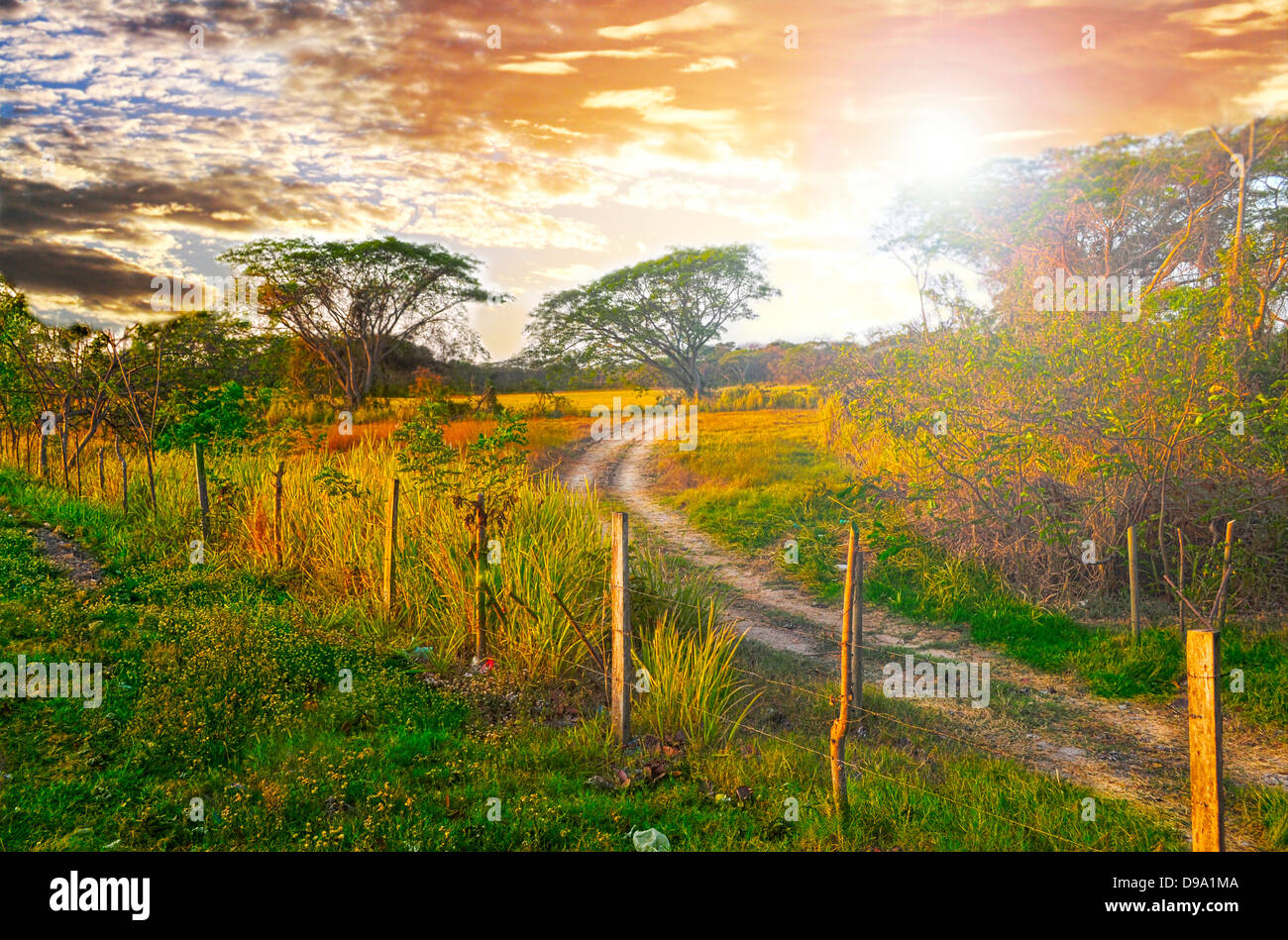 A rural country road with a beautiful sunrise in the background Stock ...