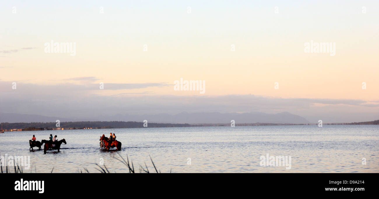 Horse Rides on the Beach Stock Photo - Alamy