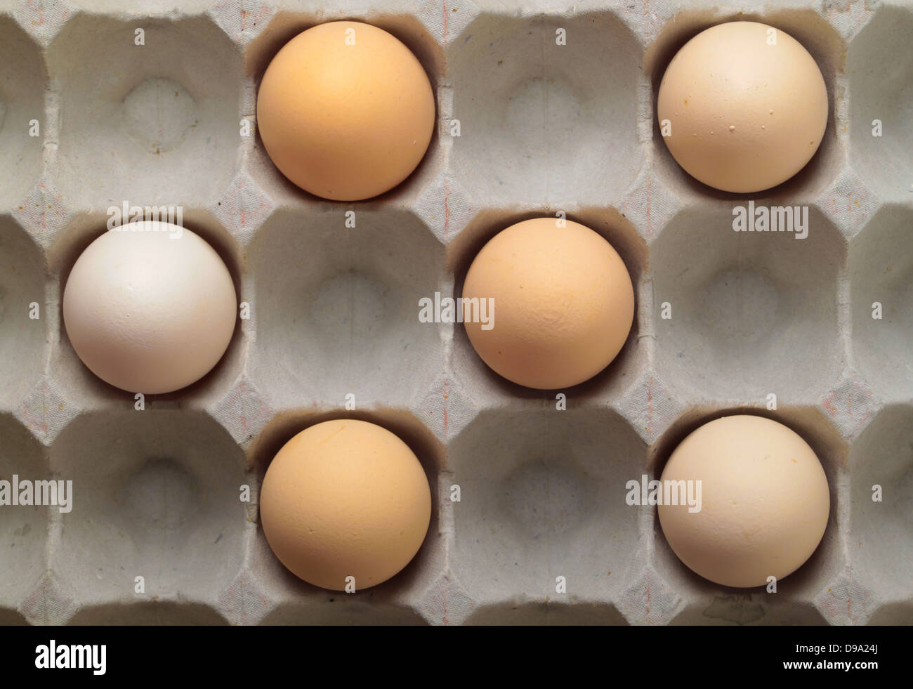 Six eggs in a tray Stock Photo - Alamy