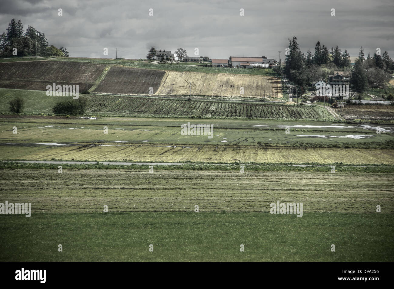 Sky farm farm crops hi-res stock photography and images - Alamy