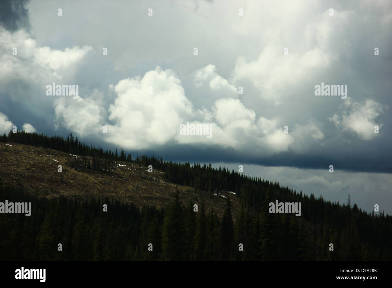 Deforest hi-res stock photography and images - Alamy