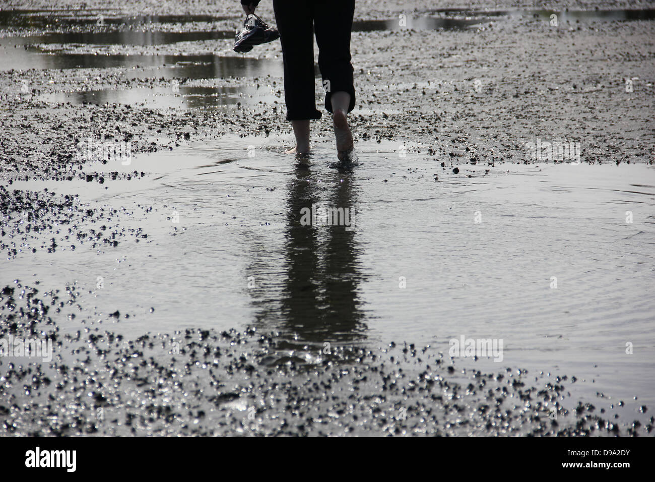 Puddle walk hi-res stock photography and images - Alamy