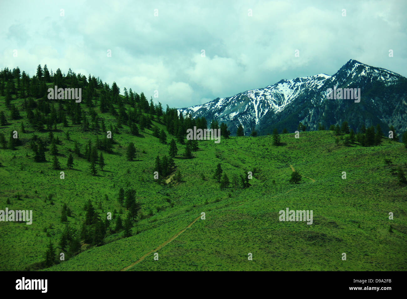 Tree top hike hi-res stock photography and images - Alamy