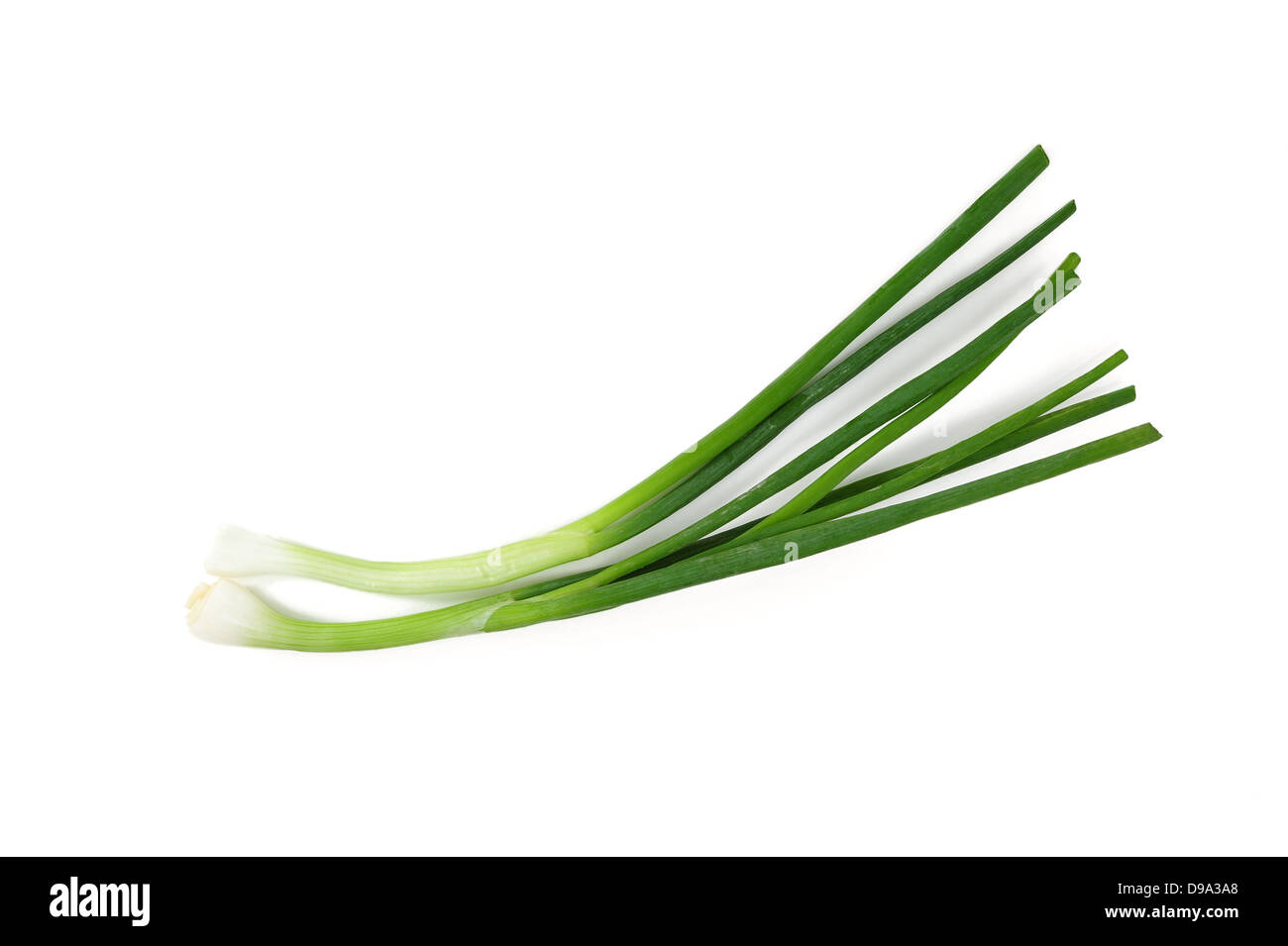 Spring onion isolated hi-res stock photography and images - Alamy