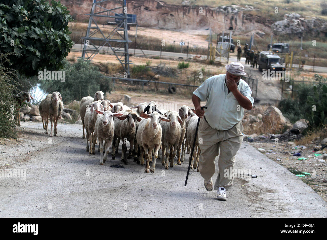 Ramallah, West Bank, Palestinian Territory. 15th June, 2013 ...