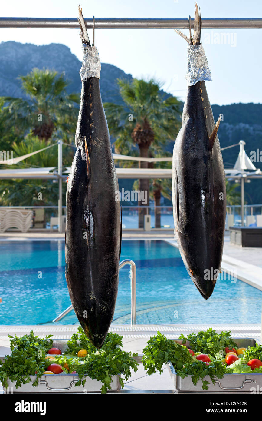 Tuna fish in the Mediterranean restaurant Stock Photo - Alamy