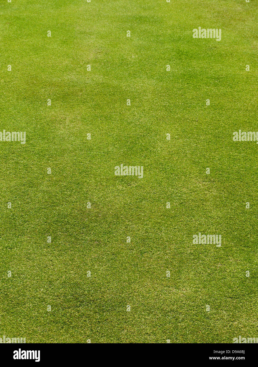 Perfect lawn hi-res stock photography and images - Alamy