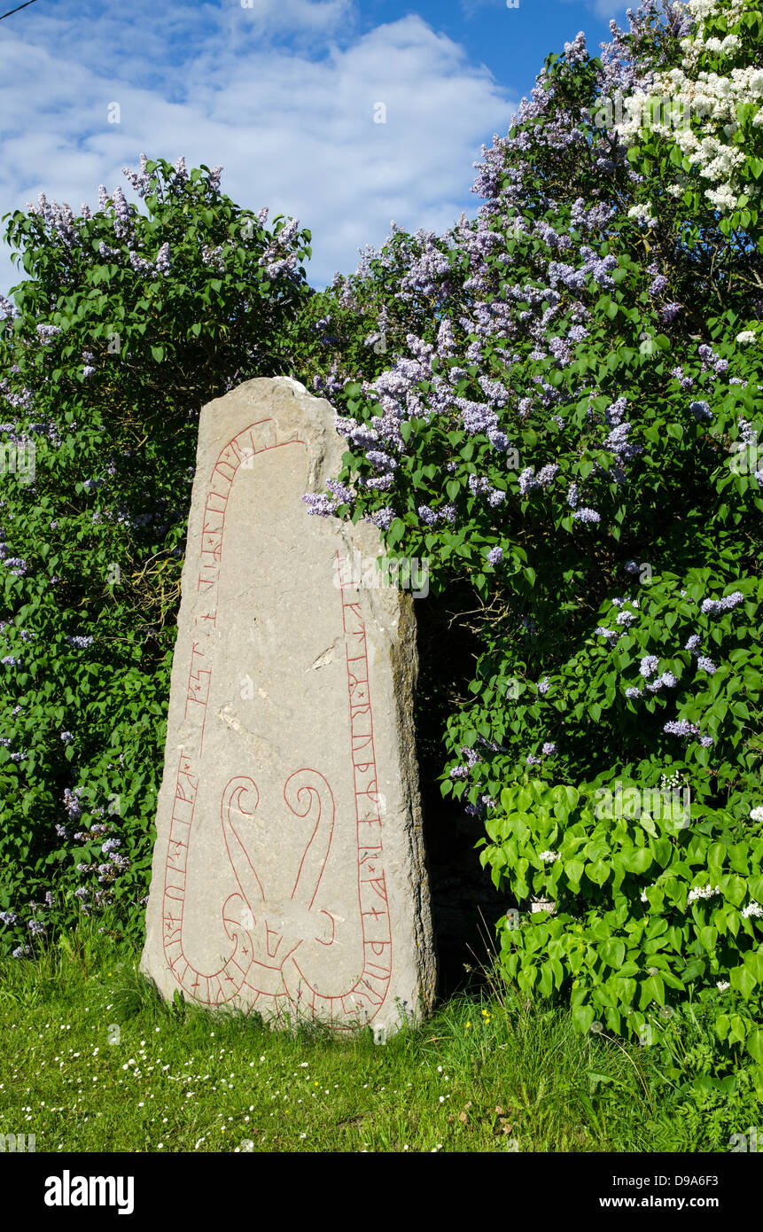 Rune stone from viking age at Seby on the island Oland in Sweden Stock ...