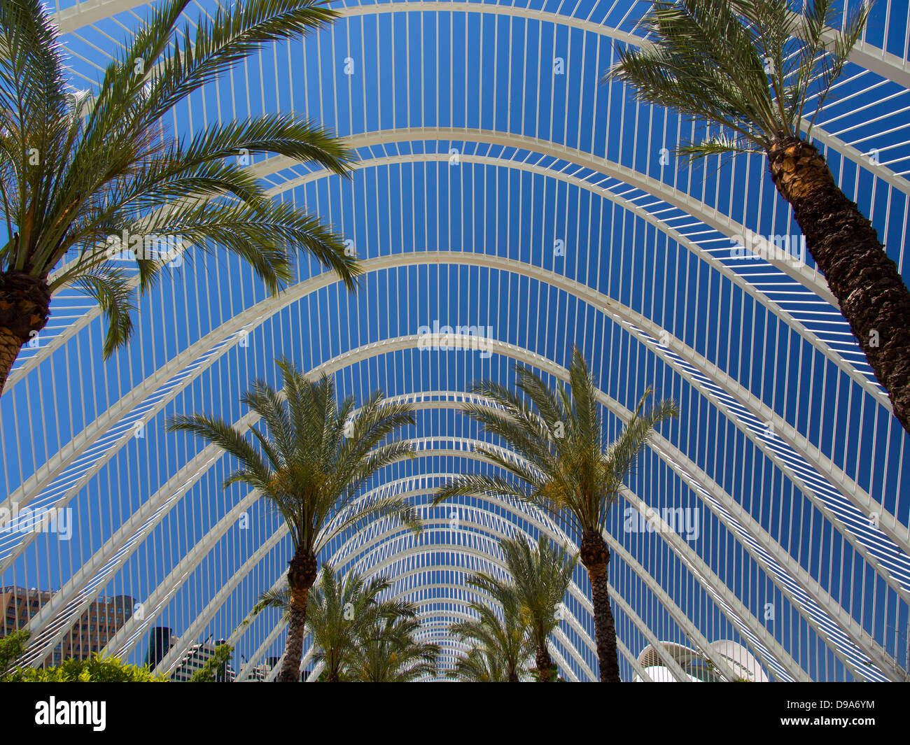Valencia's Ciudad de las Artes y las Ciensias, Spain - Umbracle and ...