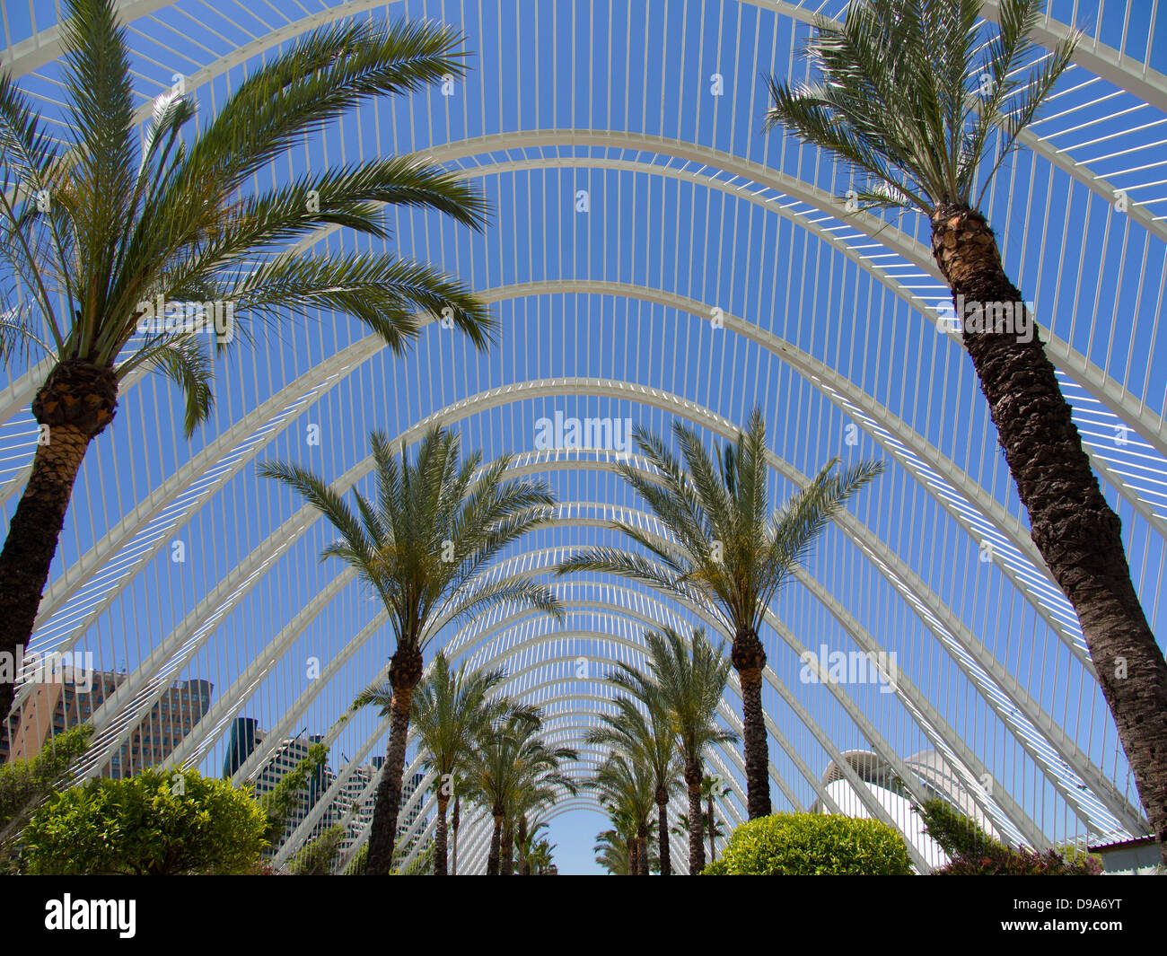 Umbracle gardens hi-res stock photography and images - Alamy