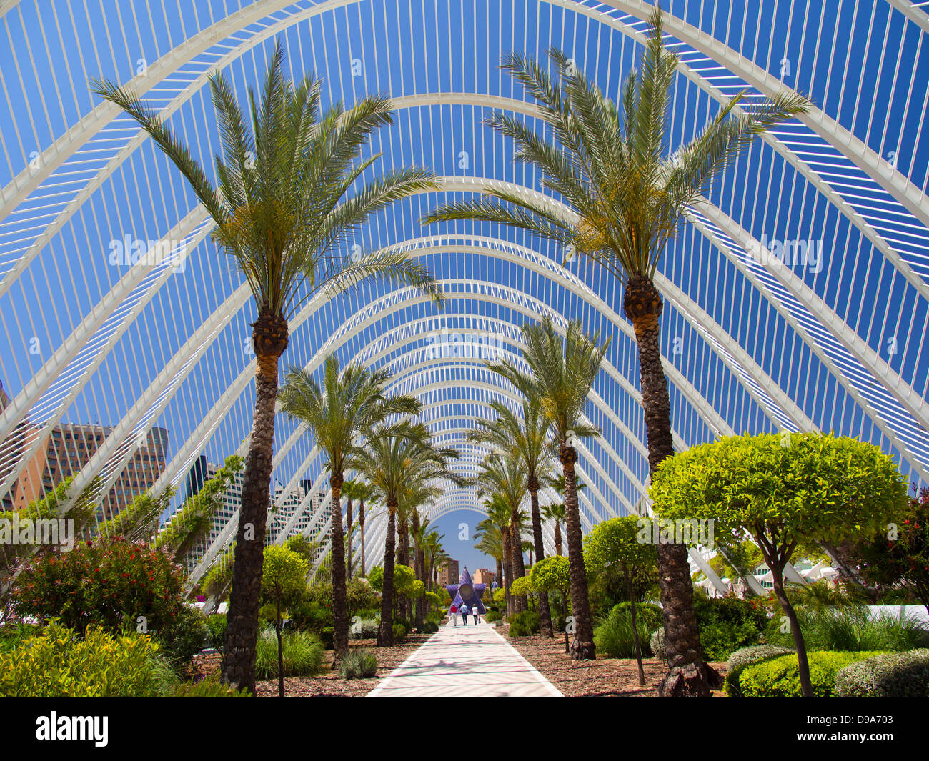 Valencia's Ciudad de las Artes y las Ciensias, Spain - Umbracle and ...