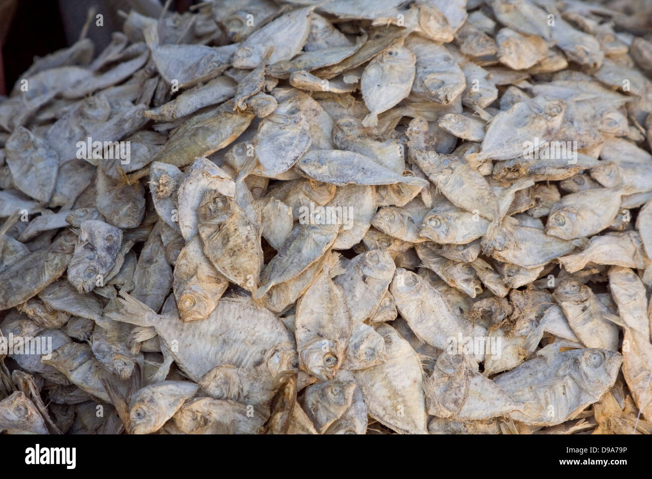 Asia, India, Karnataka, Madikeri, dried fish on the market Stock Photo ...