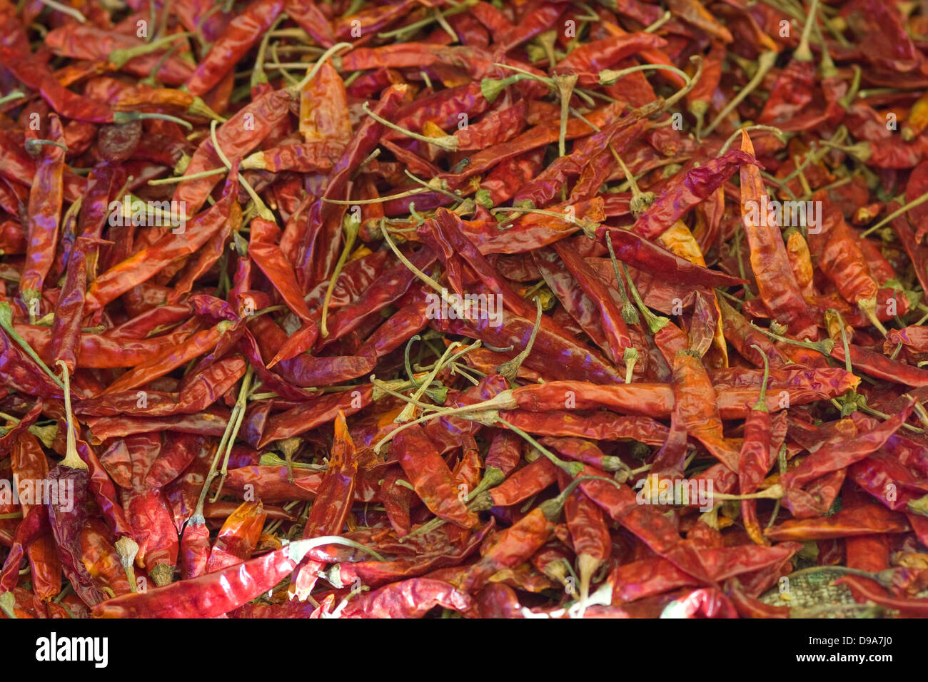 Pepper Plants India High Resolution Stock Photography and Images - Alamy