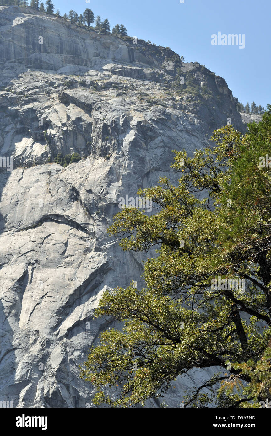 Granite massif rises behind trees in Yosemite Valley, California, USA ...