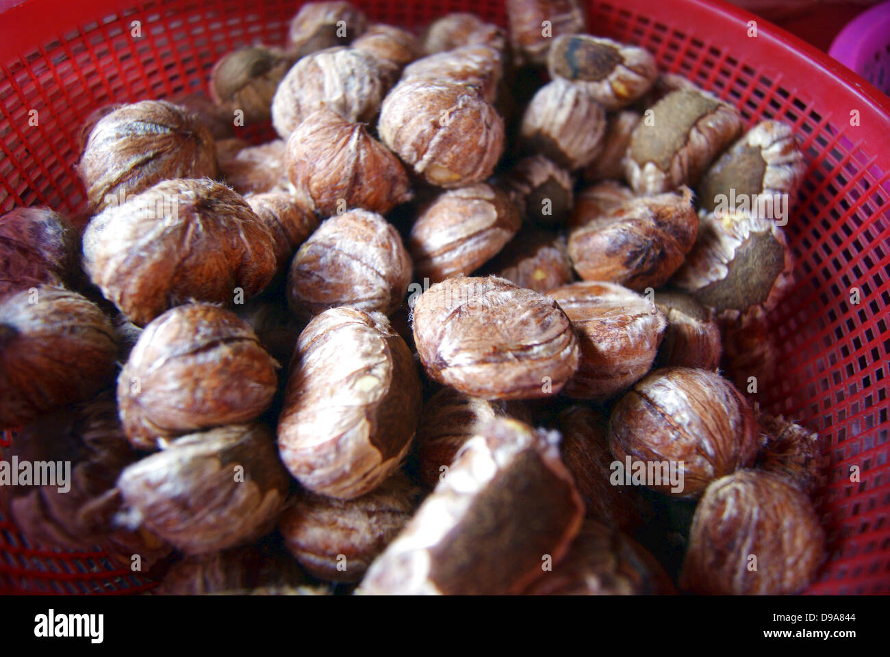 Chinese farmers hi-res stock photography and images - Alamy