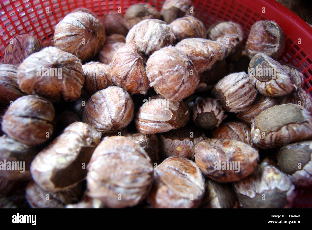 Chinese farmers hi-res stock photography and images - Alamy