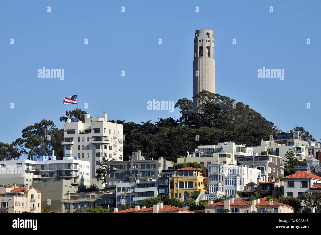 Coit Tower Vector
