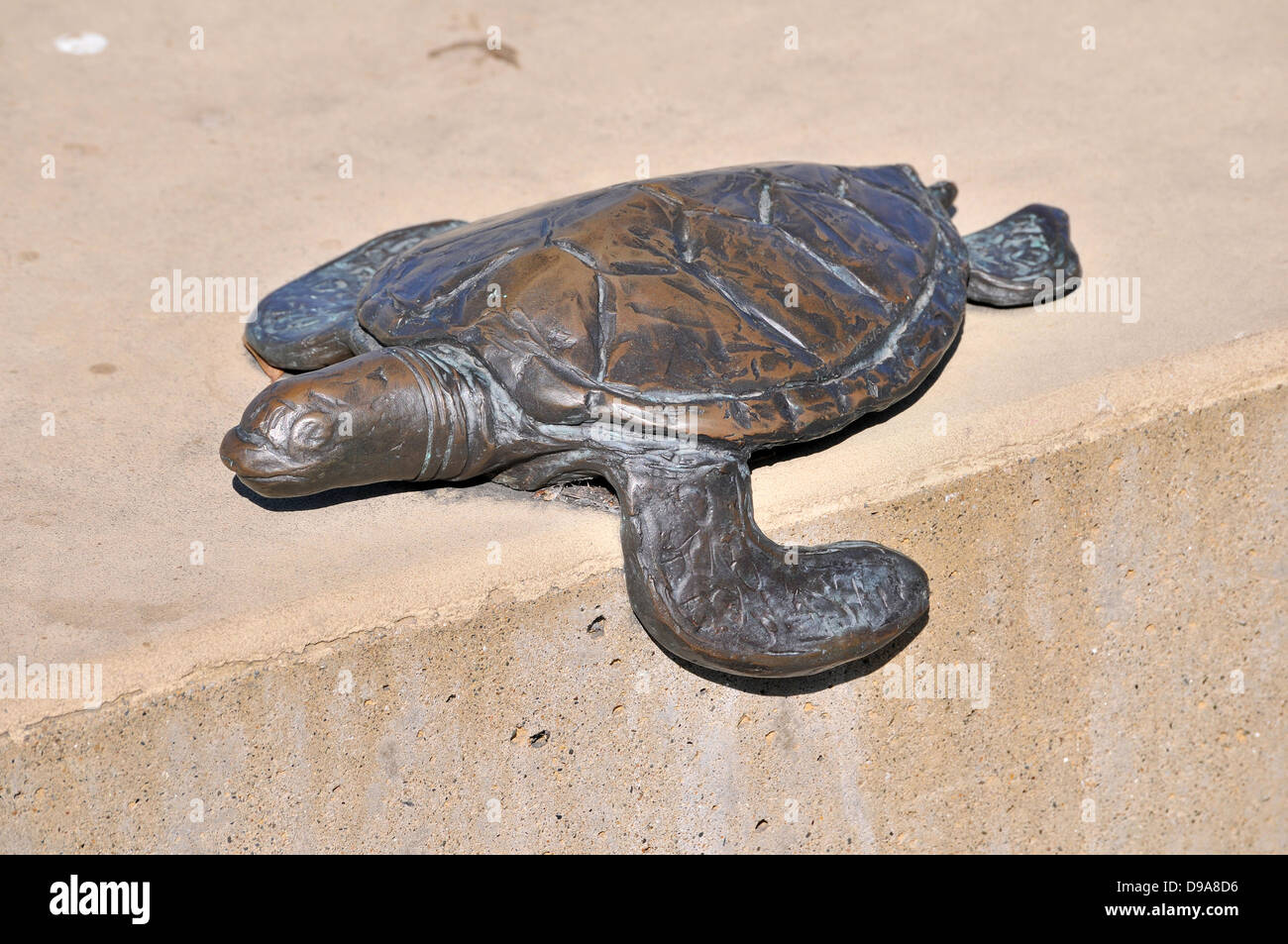 Bronze sculpture of a small turtle protecting a concrete wall on the ...