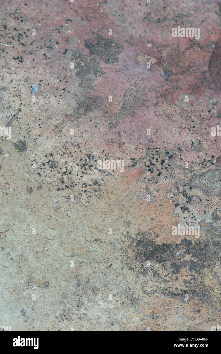 Mottled surfaces hi-res stock photography and images - Alamy