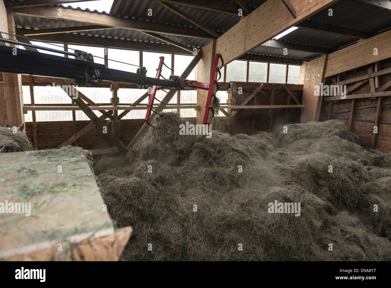 Turning the hay straw & silo inside a barn with an overhead ceiling ...