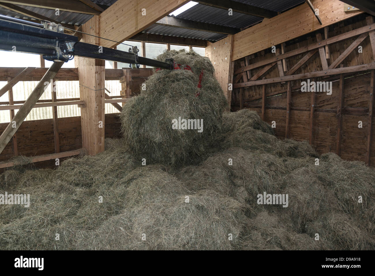 Turning the hay straw & silo inside a barn with an overhead ceiling ...