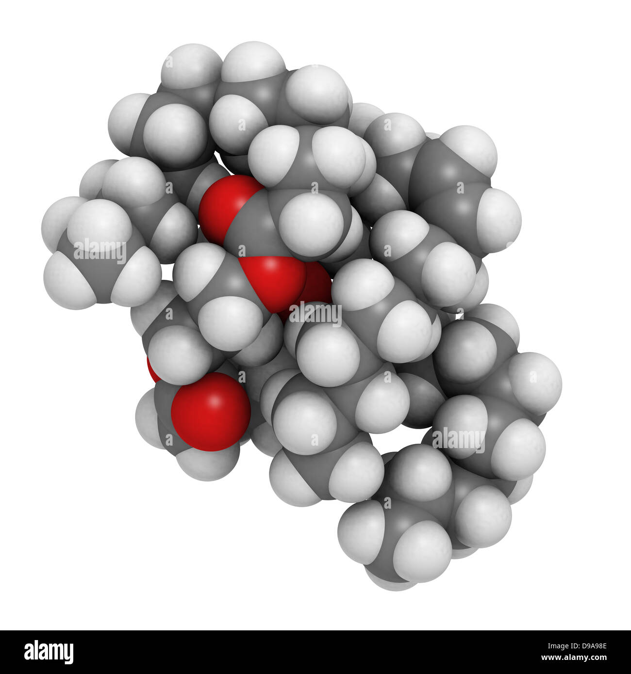 Triglyceride Molecule Structure