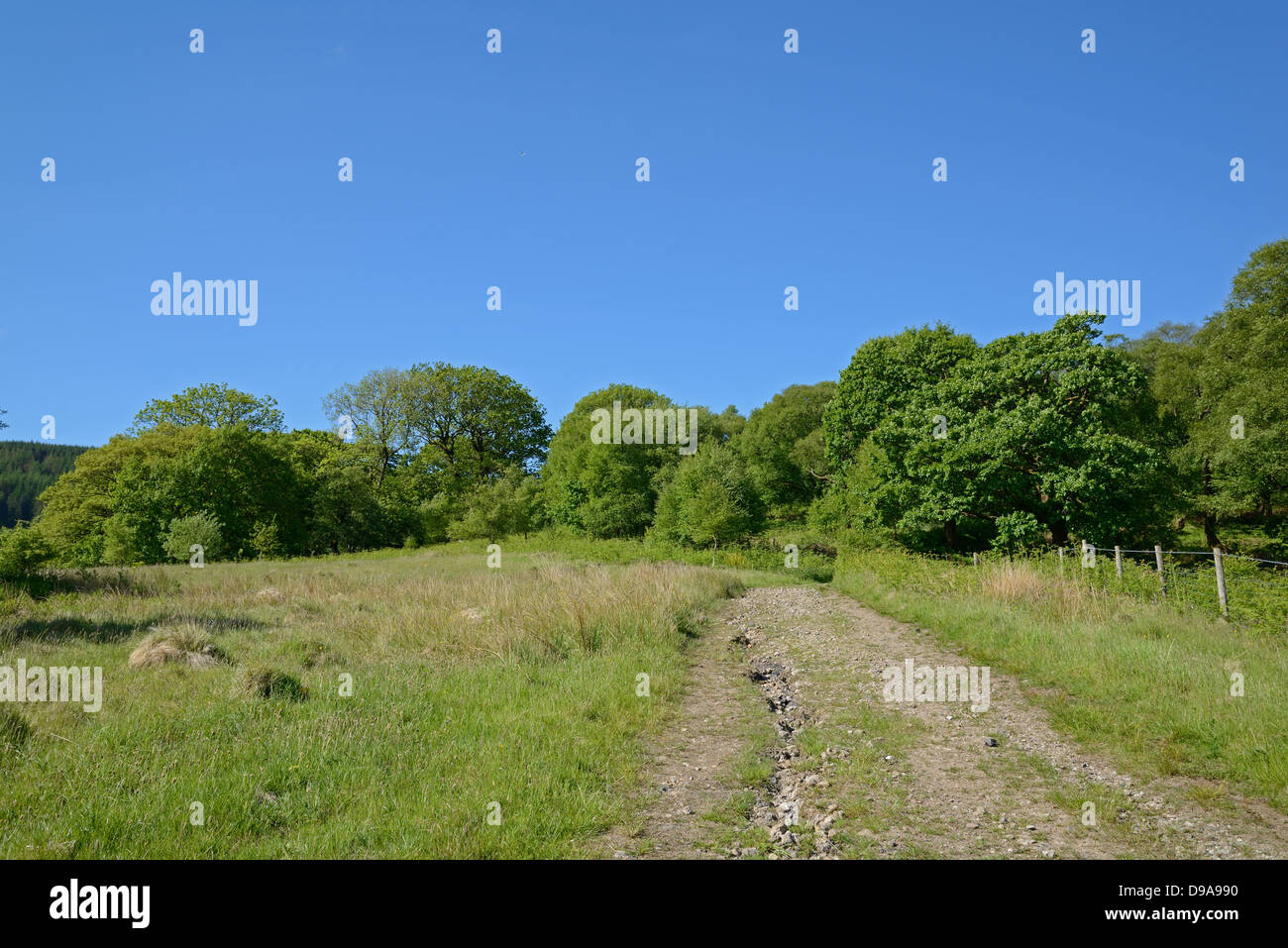 Path leading up hi-res stock photography and images - Alamy