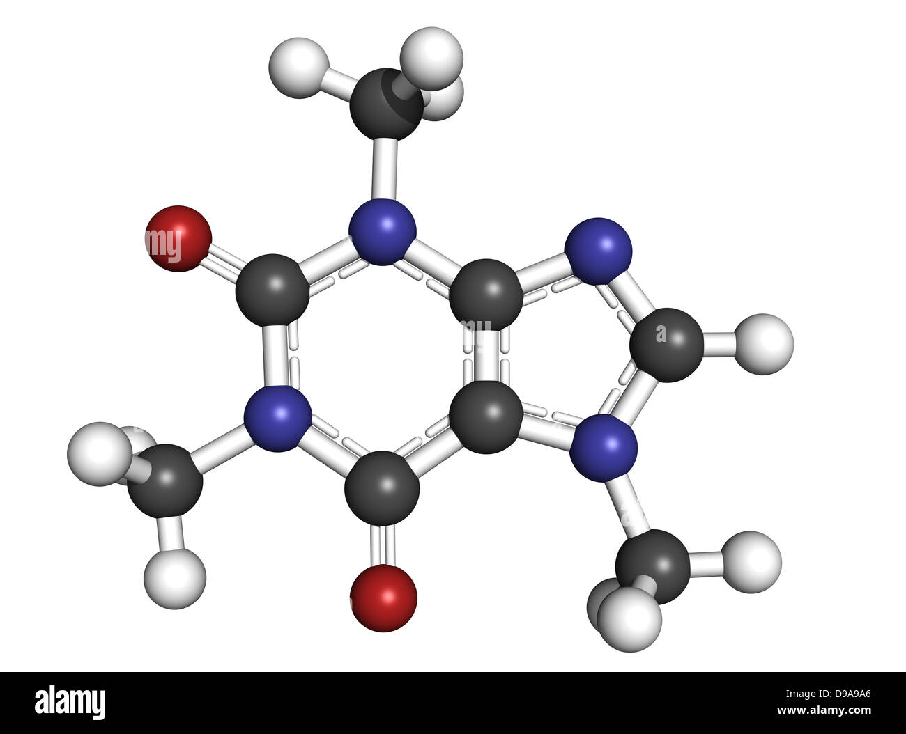 Caffeine, molecular model. Atoms are represented as spheres with ...