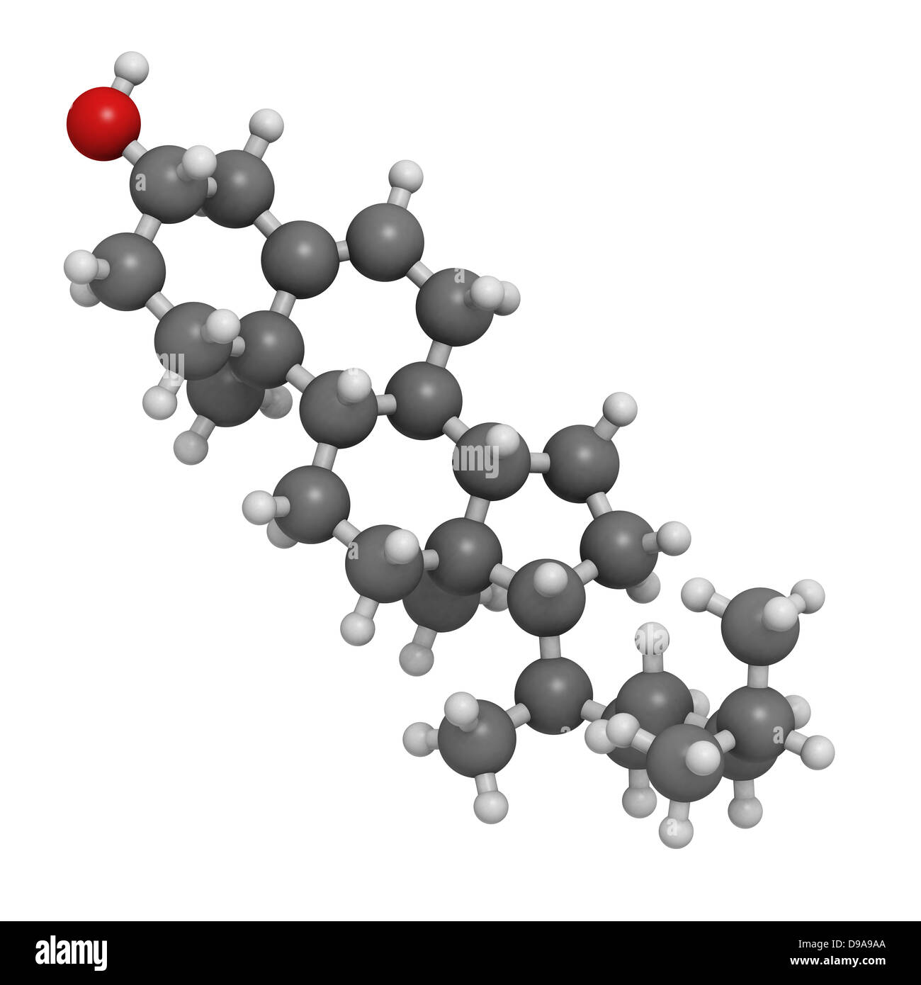 Cholesterol, molecular model. Atoms are represented as spheres with ...