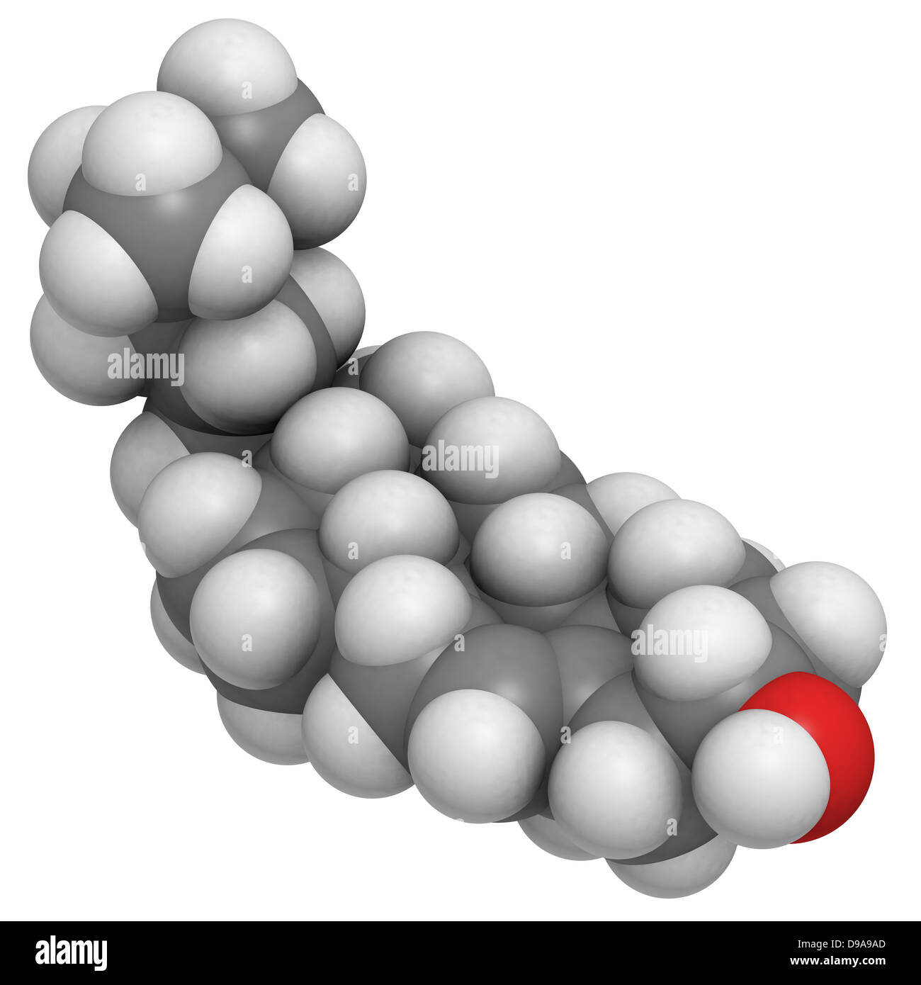 Cholesterol molecular model hi-res stock photography and images - Alamy