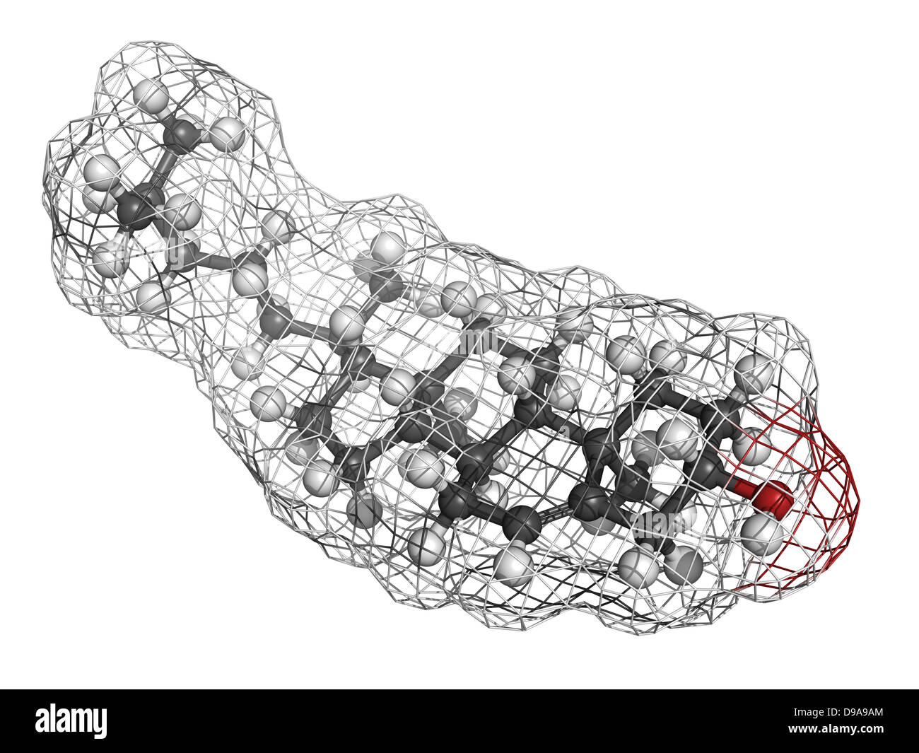 Cholesterol molecular model hi-res stock photography and images - Alamy