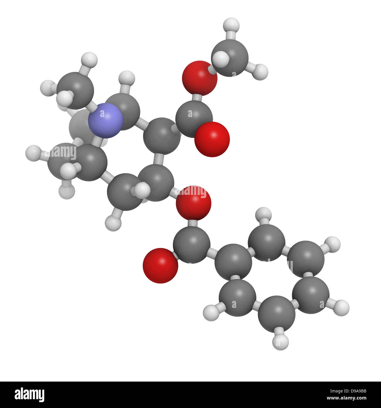 Cocaine drug, molecular model. Atoms are represented as spheres with ...