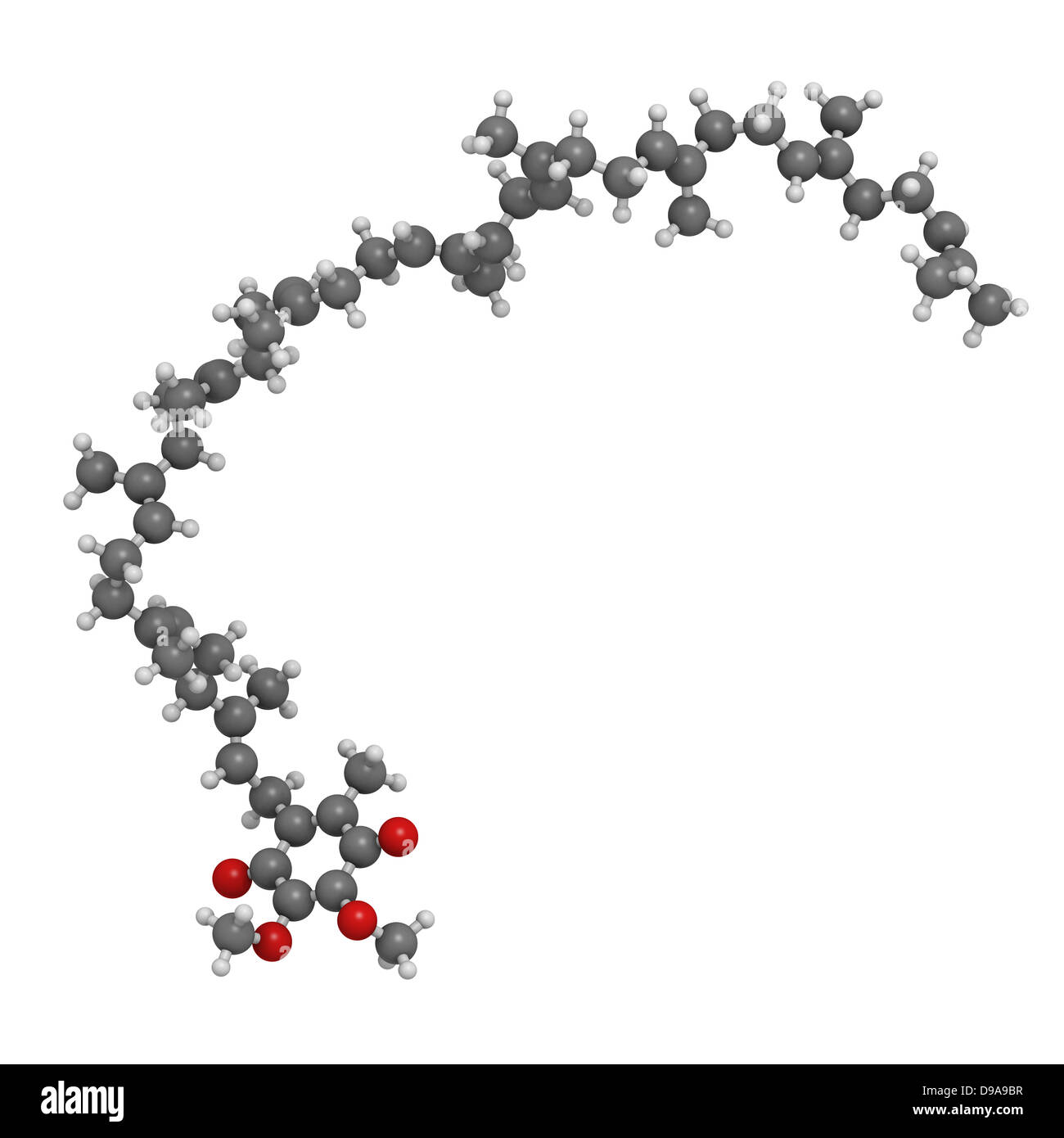 Coenzyme Q10 (ubiquinone) molecule, chemical structure Stock Photo - Alamy