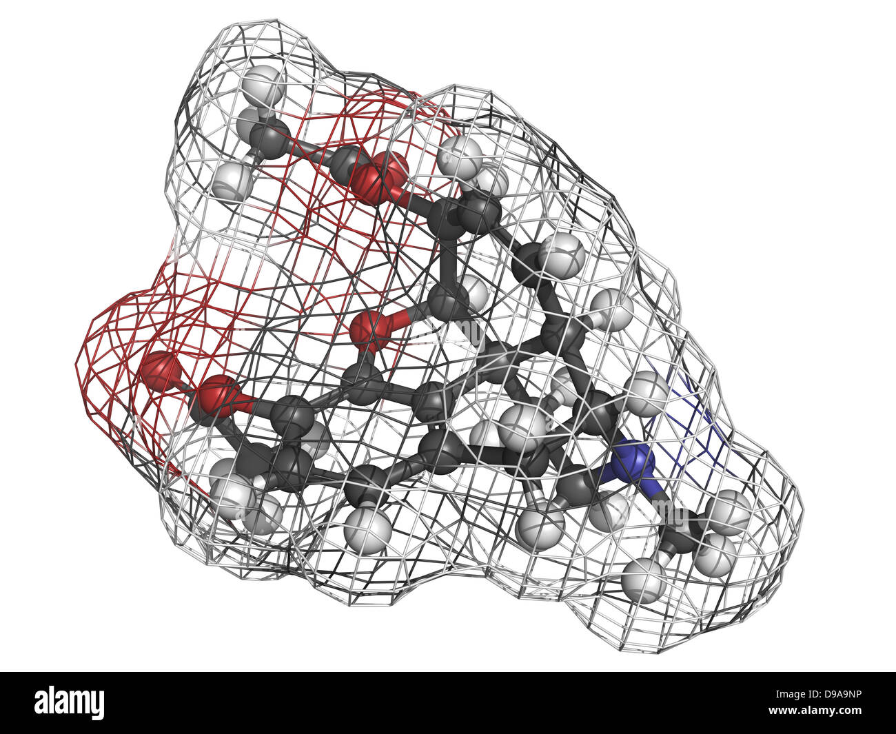 heroin (diacetylmorphine) narcotic drug, molecular model. Atoms are ...