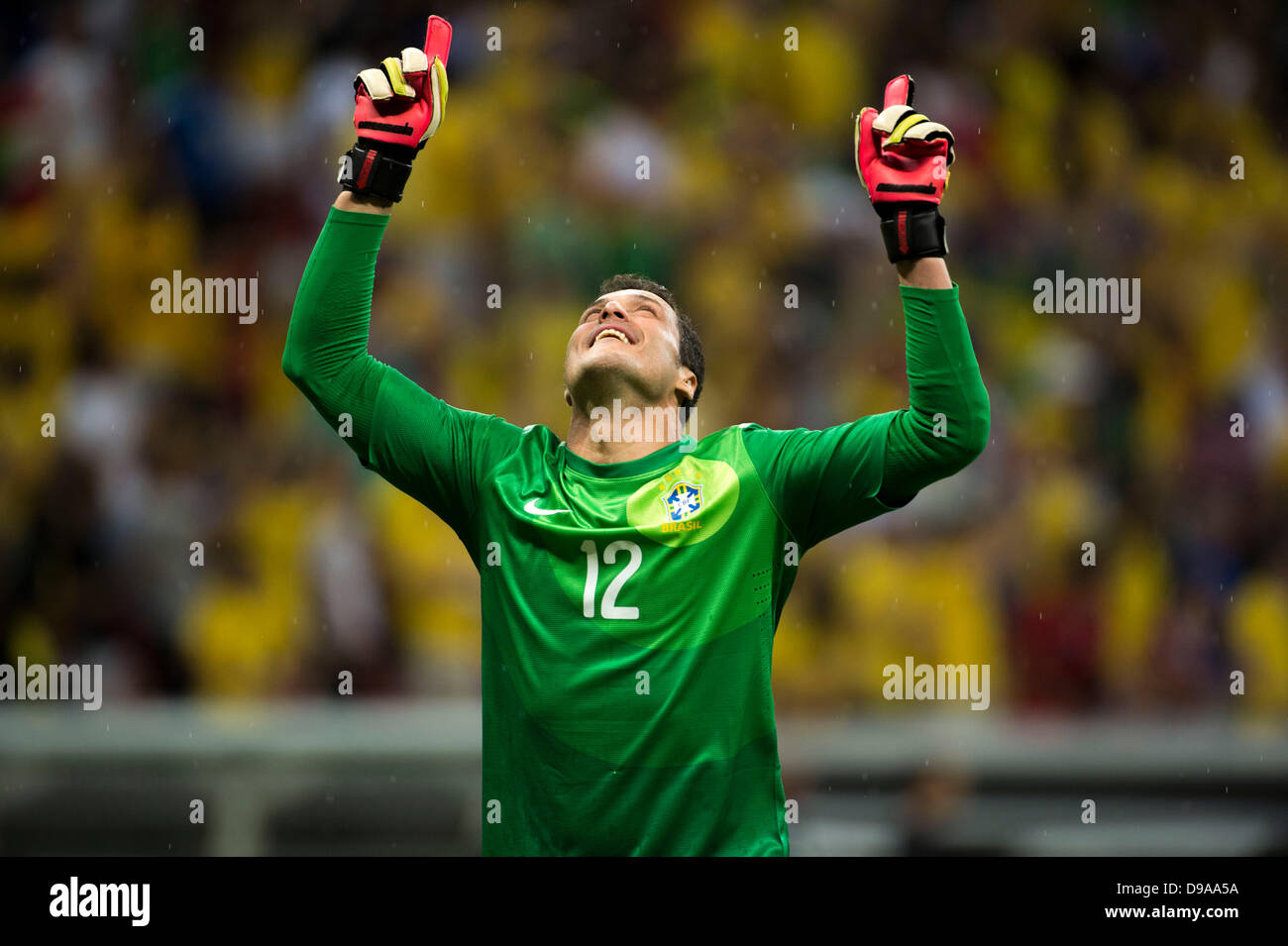 Julio Cesar (BRA), JUNE 15, 2013 - Football / Soccer : Julio Cesar of ...