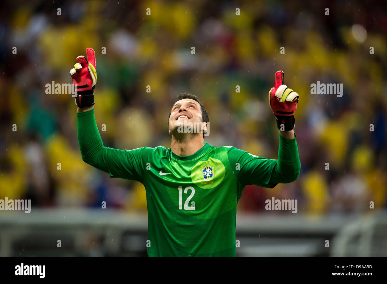 Julio Cesar (BRA), JUNE 15, 2013 - Football / Soccer : Julio Cesar of ...
