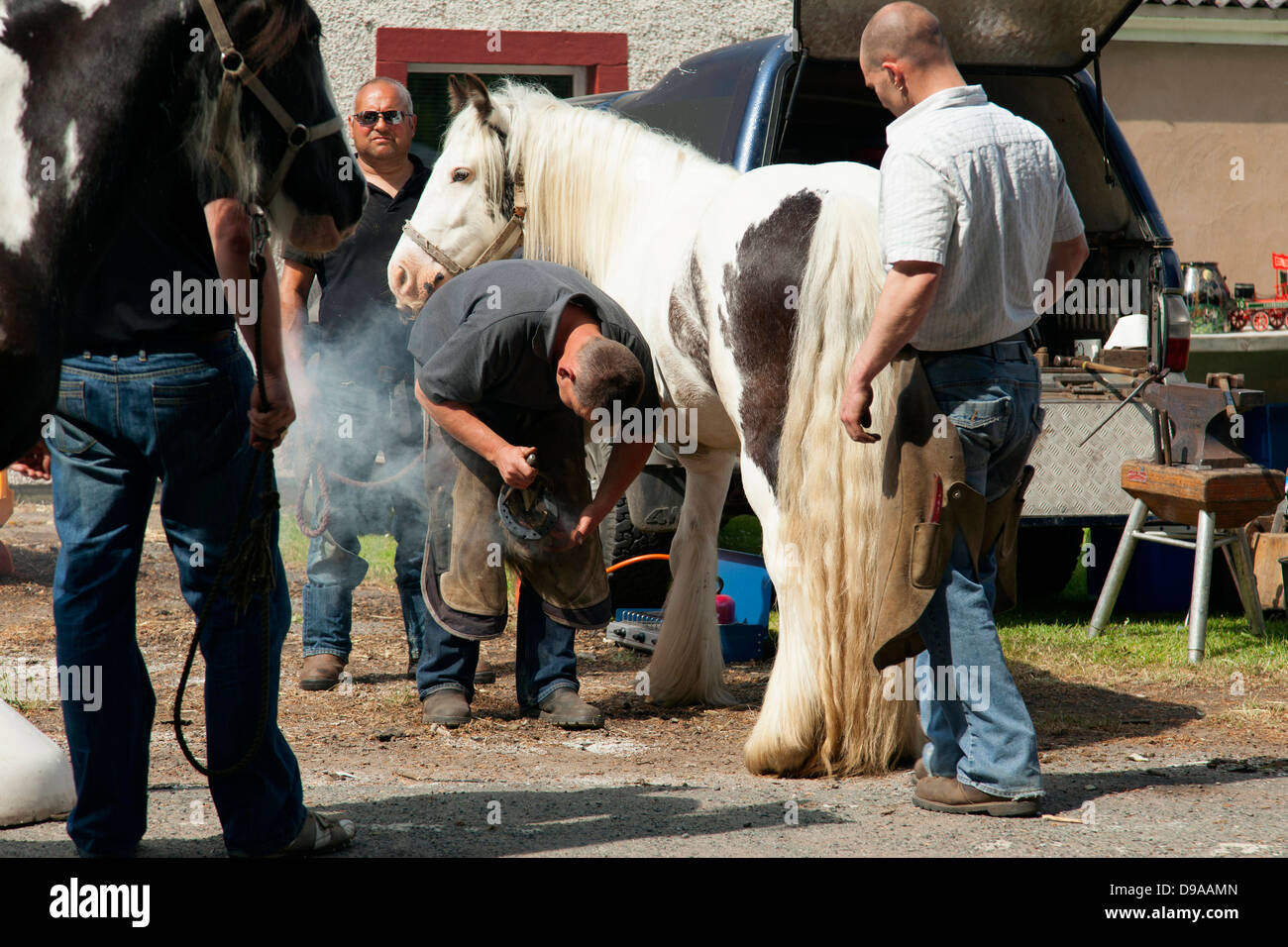 A mobile Farrier hot shoeing horses at the Appleby Horse Fair, Appleby ...