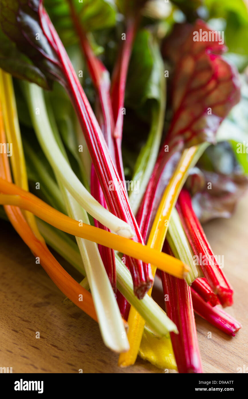 Rainbow Chard leaves Stock Photo - Alamy