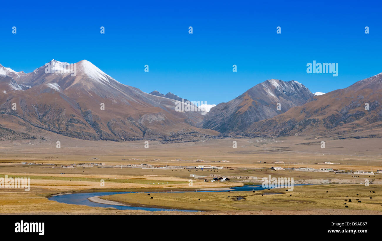 Tibet scenery - autumn pasture and snow mountain Stock Photo - Alamy