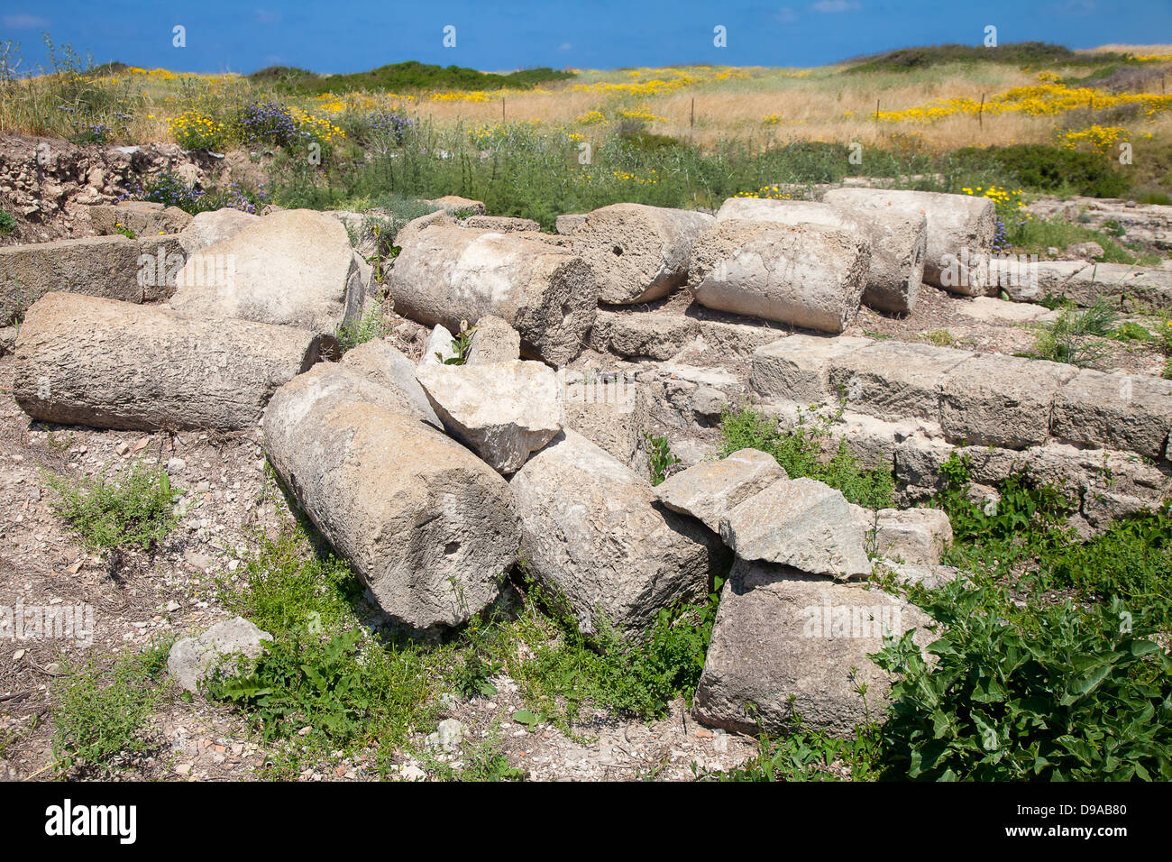 Remnants of Roman pillars scattered by the time Stock Photo - Alamy