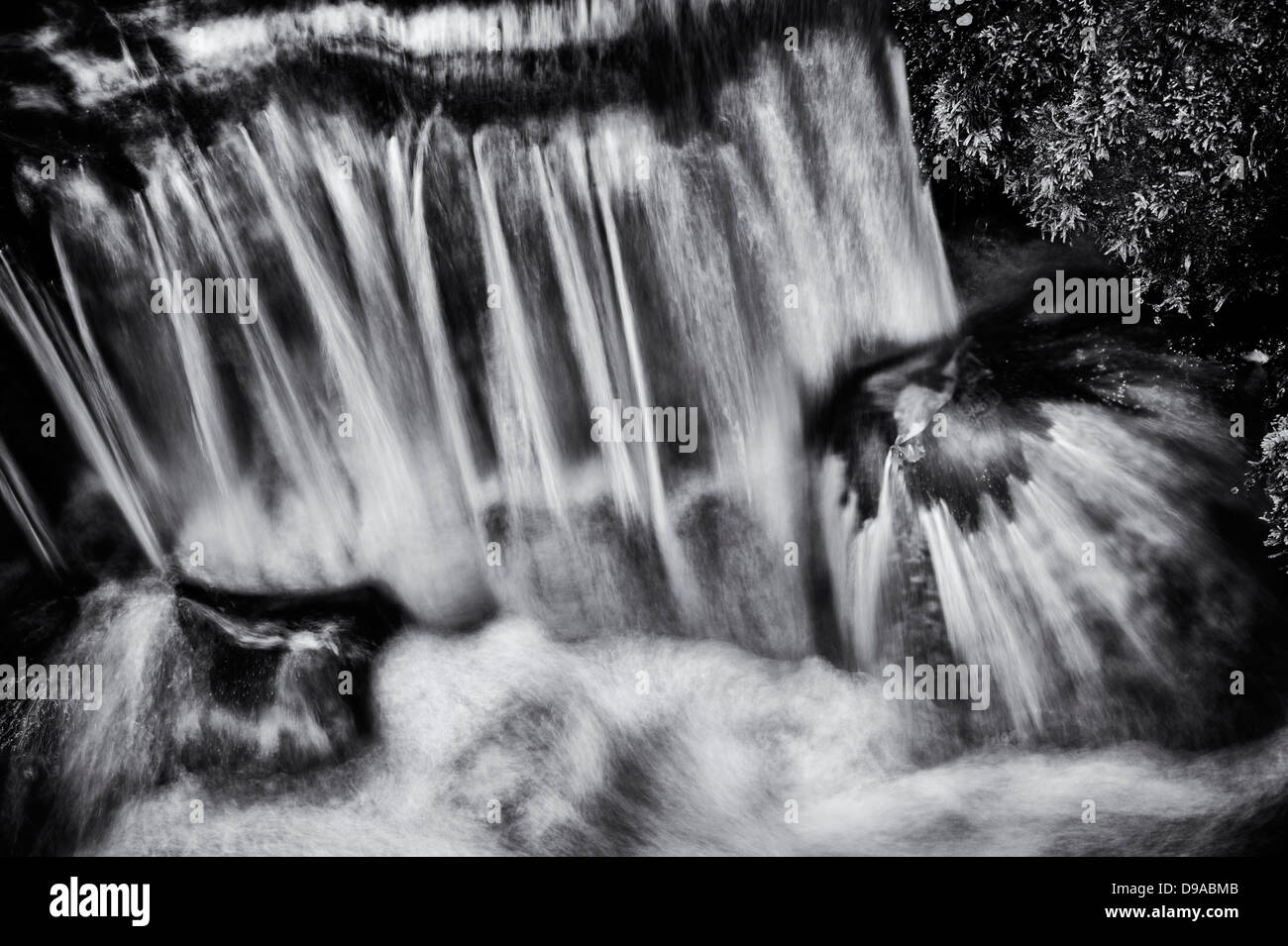 Devon brook hi-res stock photography and images - Alamy