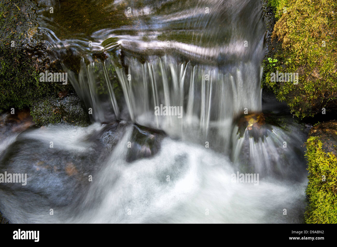 Devon brook hi-res stock photography and images - Alamy