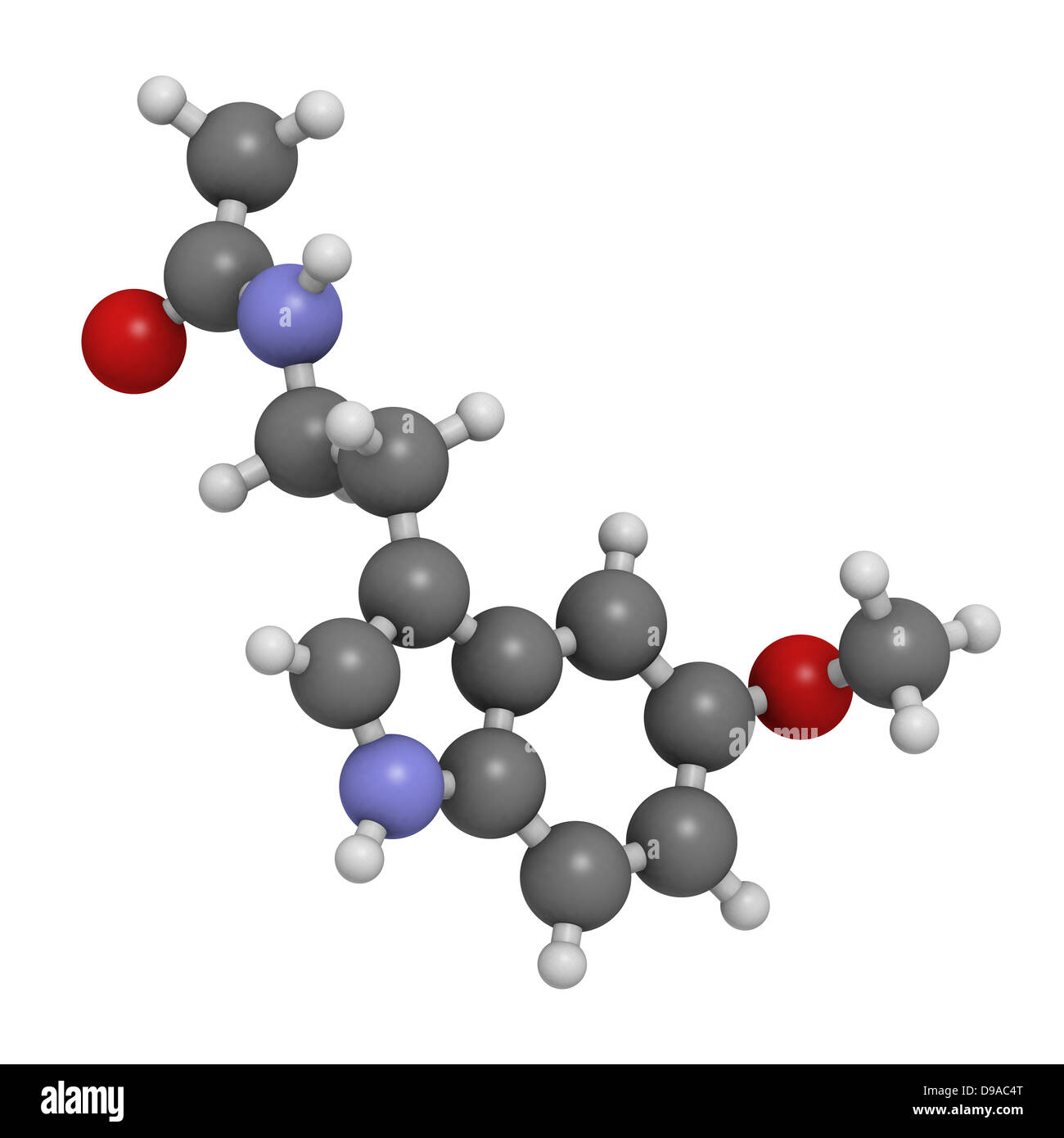 melatonin hormone, molecular model. Melatonin plays a role in ...