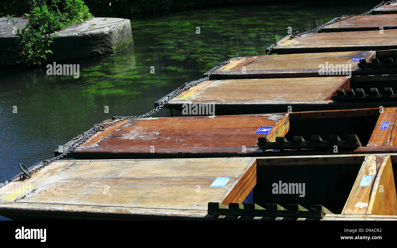 Cambridge student punts hi-res stock photography and images - Alamy