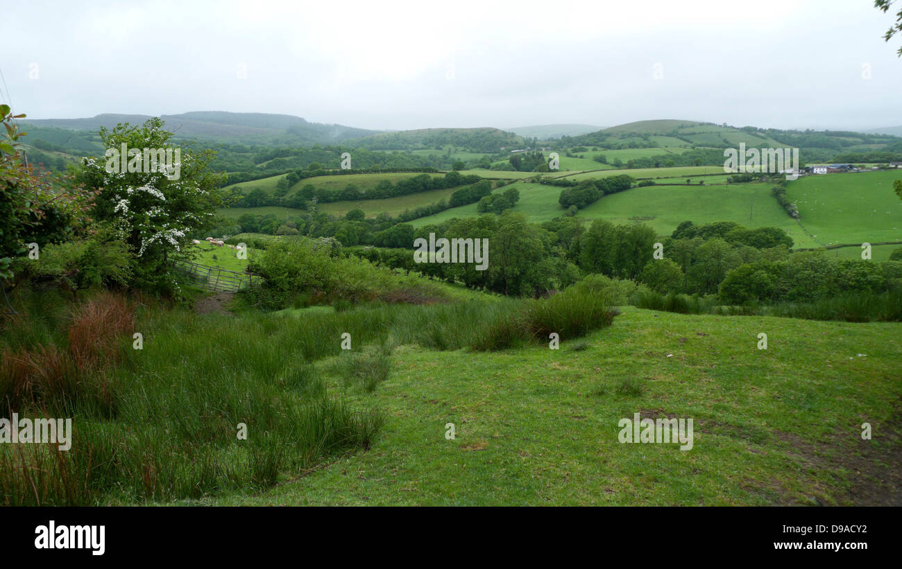 View of Welsh farming landscape looking north towards Cilycwm and ...