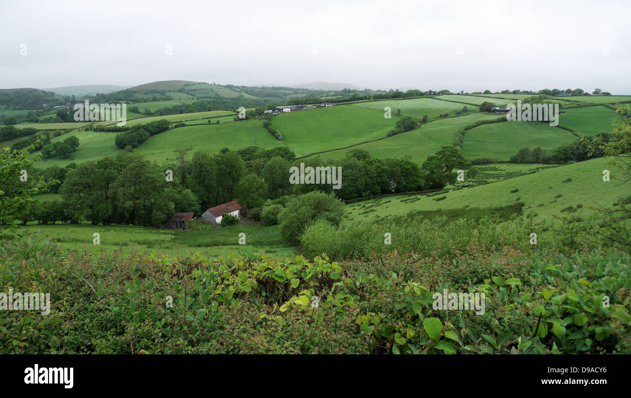 View of Welsh farming landscape looking north towards Cilycwm and ...